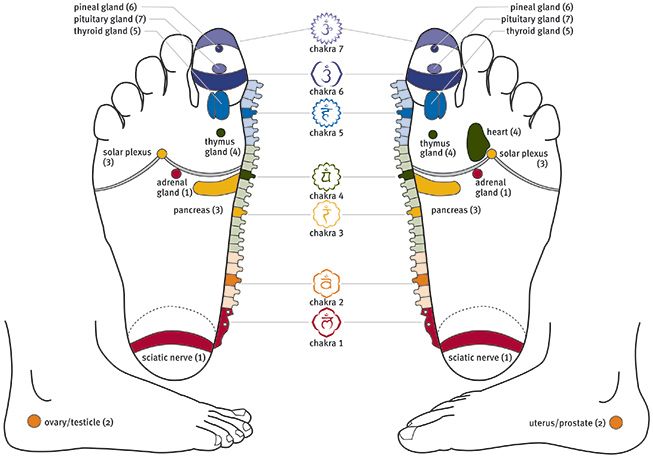 Chakra 2: Water + Sacral Chakra