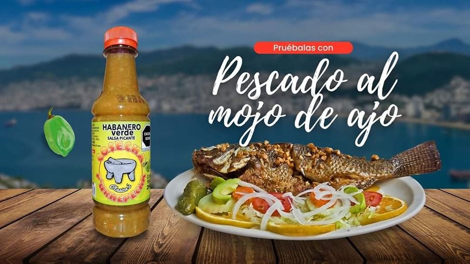 Contacto | Cosecha P'urhepecha Clasica's®