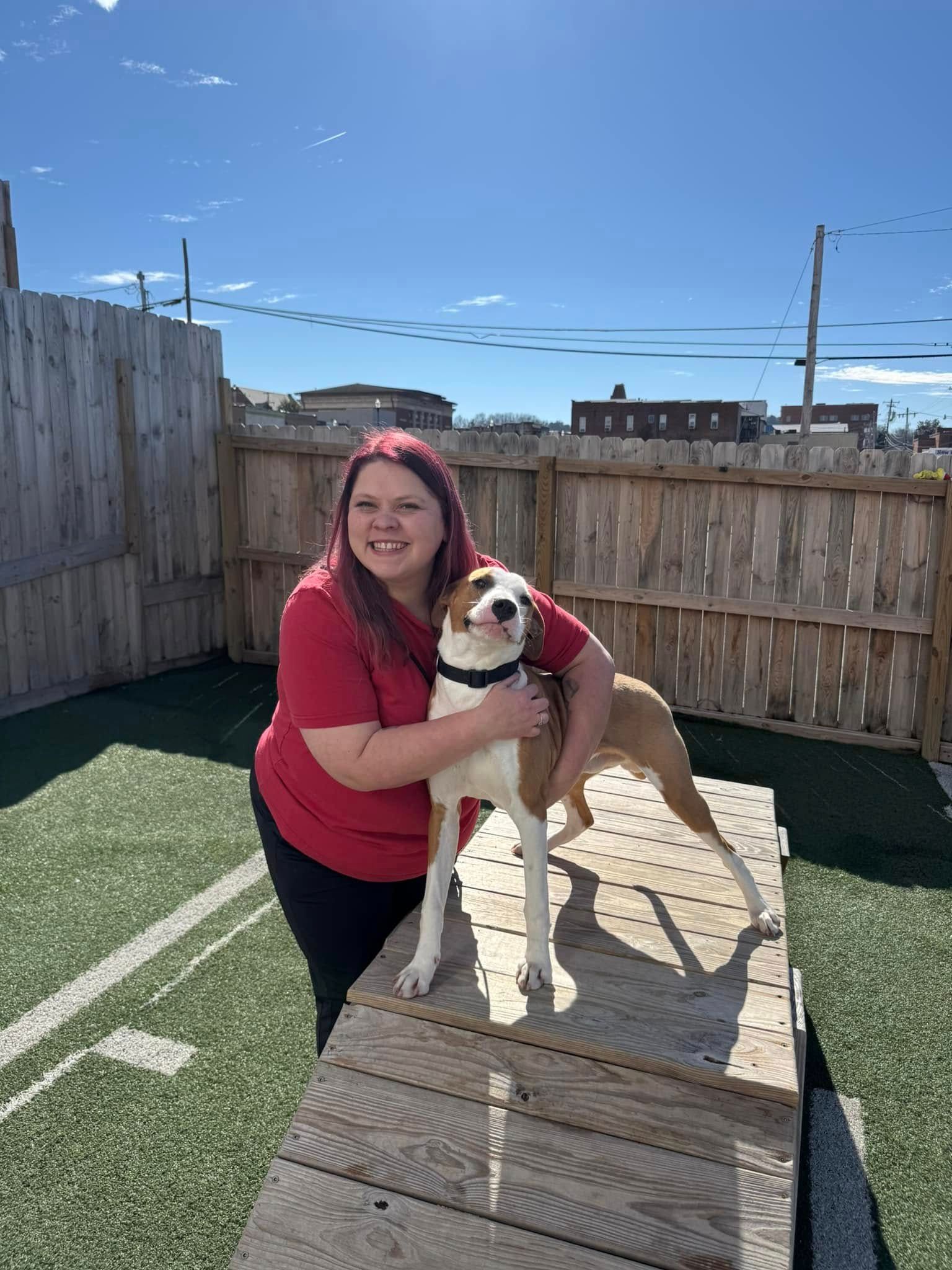 Pet Grooming, Boarding, Daycare & Training | Dewberry Pet Spa Daycare ...