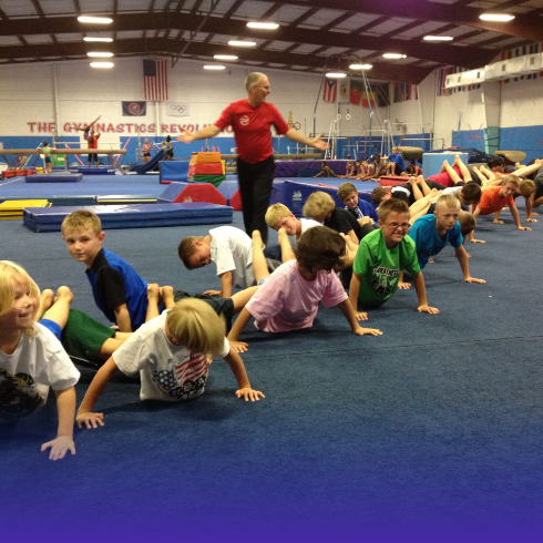 HOME [www.thegymnasticsrevolution.com]