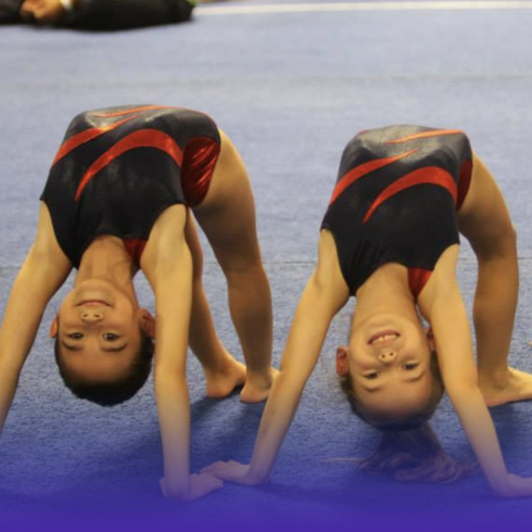 HOME [www.thegymnasticsrevolution.com]