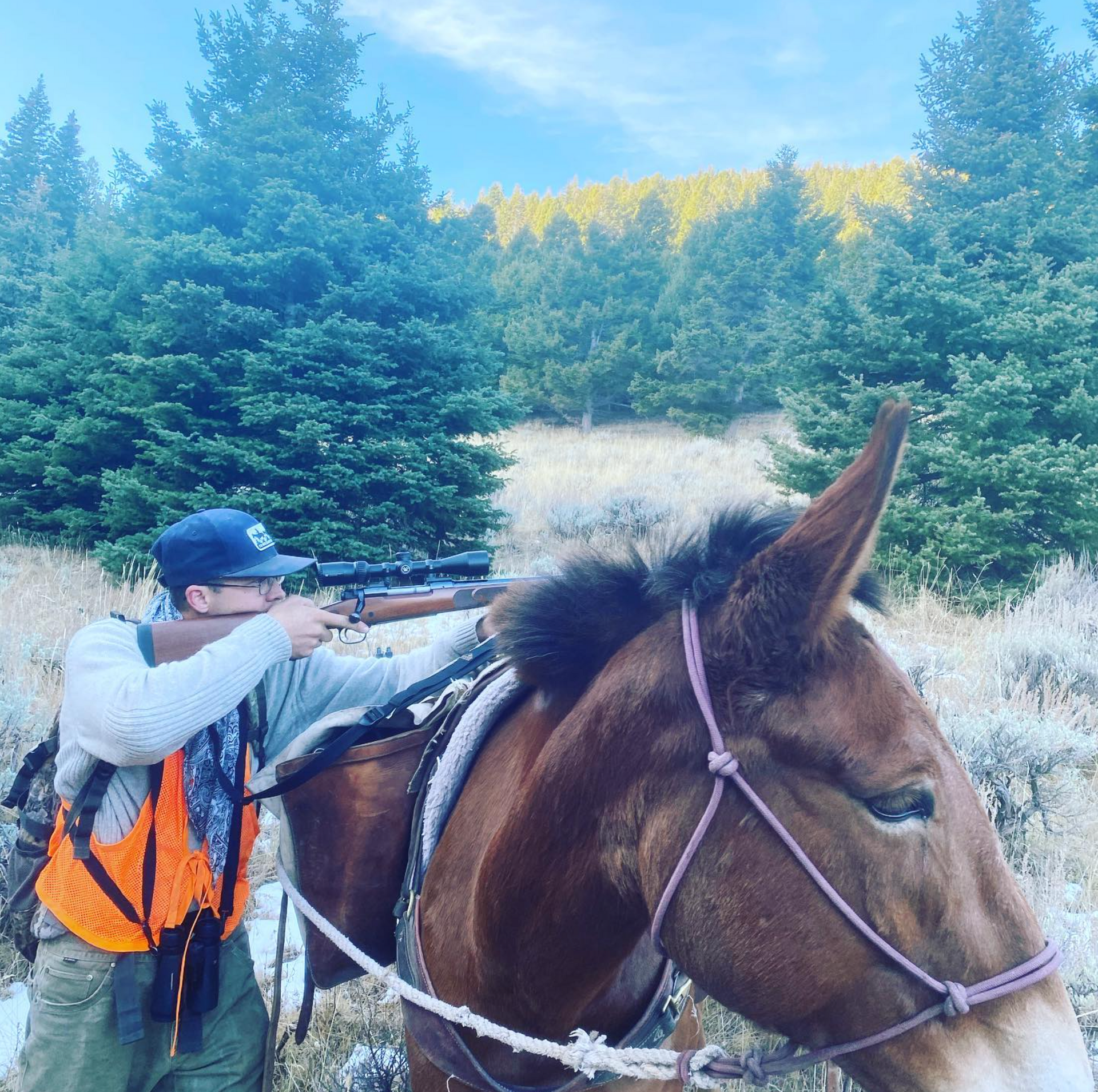 Hunting | Bob Marshall Outfitters