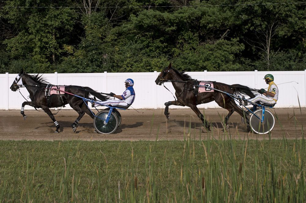 Midland Fair | Midland County Fairgrounds Michigan