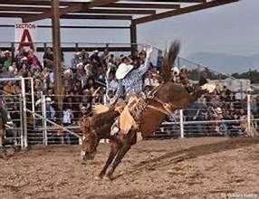 Midland Fair | Midland County Fairgrounds Michigan