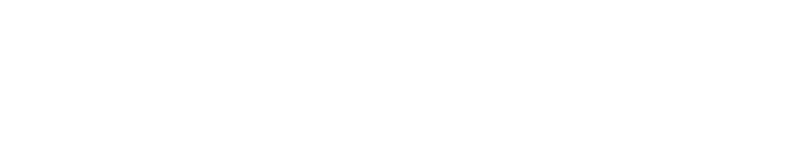 Dynamic Investment Firm | Flessner & Associates | USA