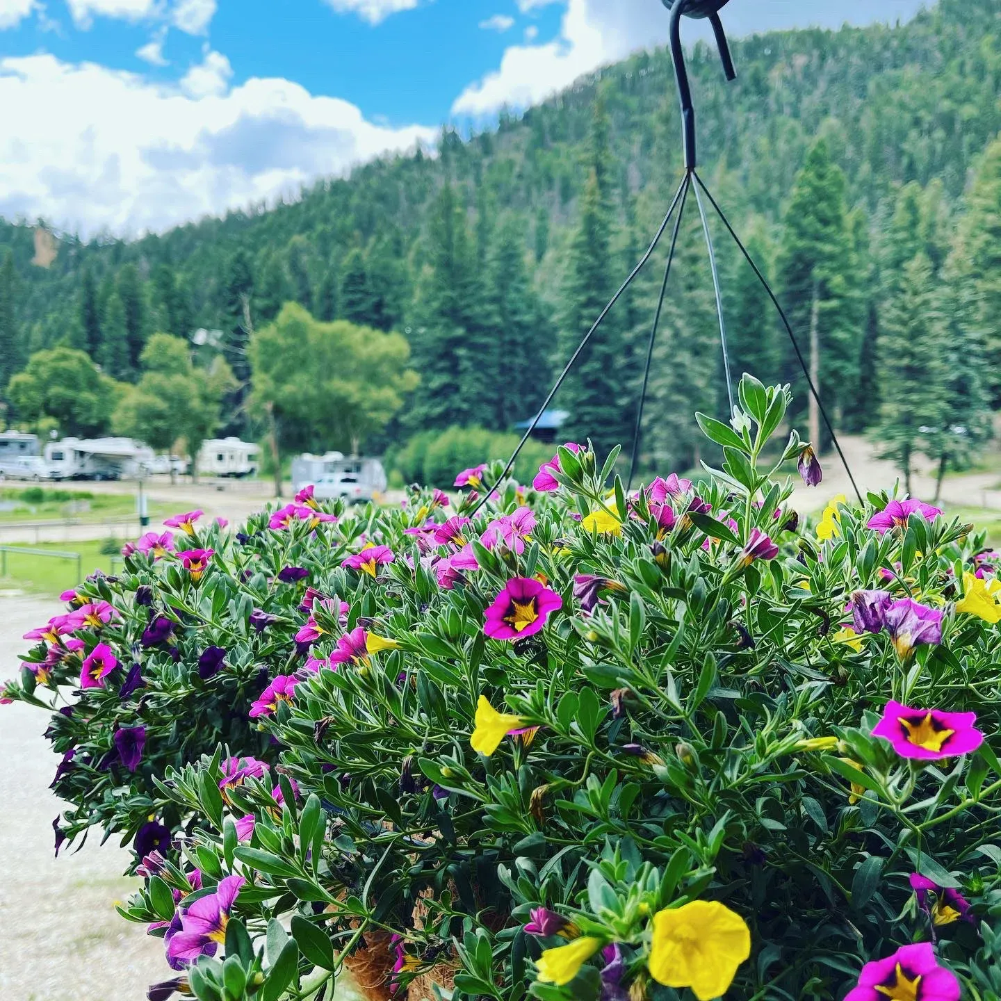 About 4K River Ranch in Red River, NM