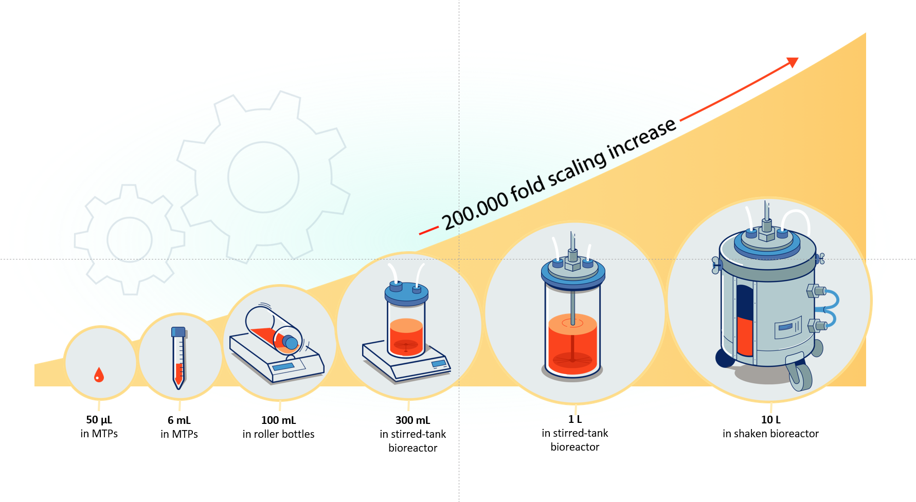 Scalable protein expression
