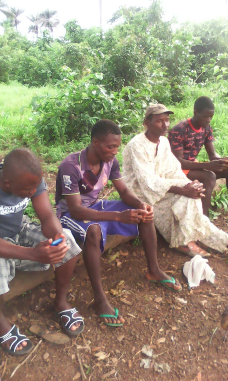 My Photo Gallery | Staten Island, NY | Kaddra-Farm Inc.