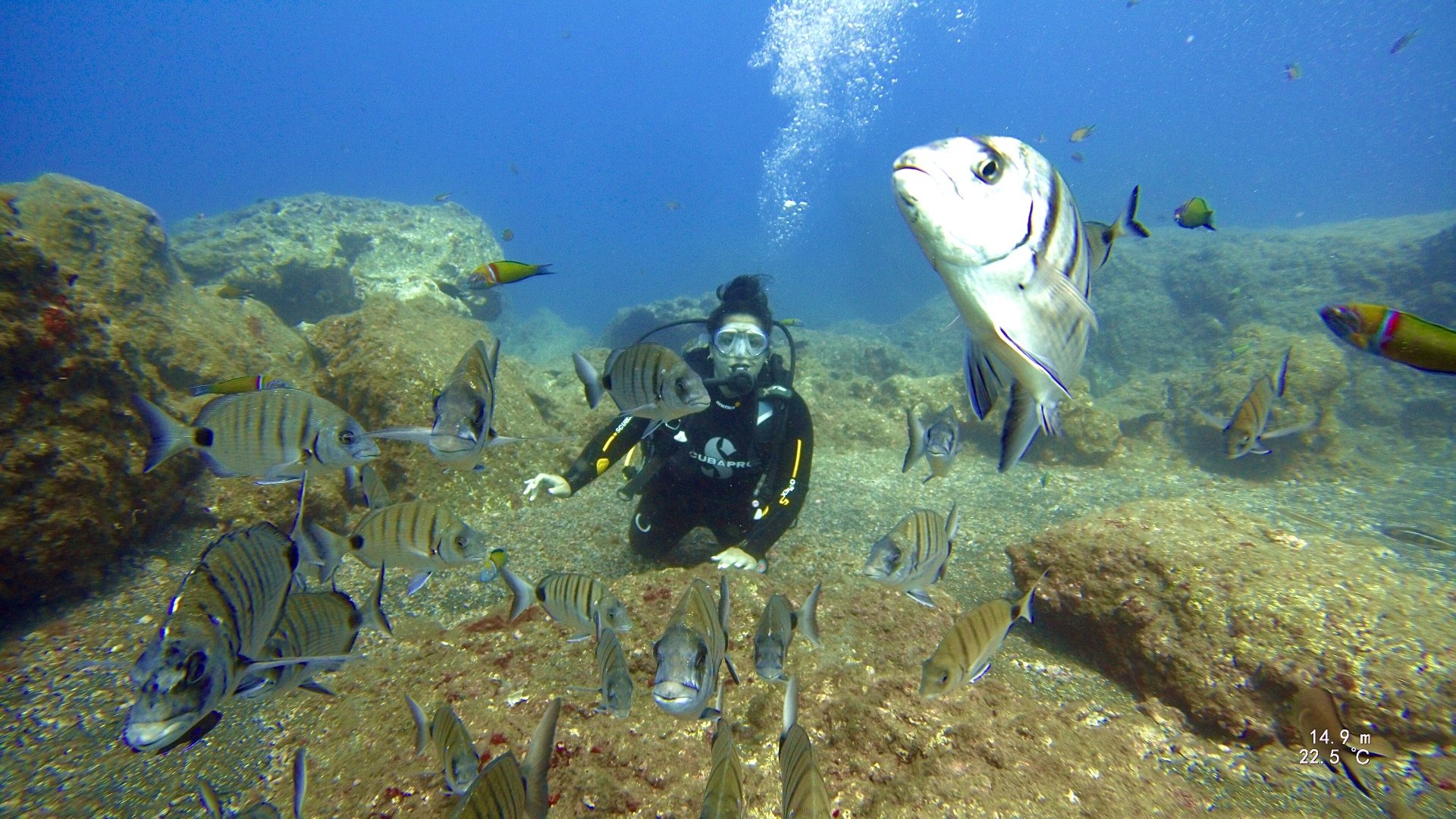 Home [merodivingcenter.com]