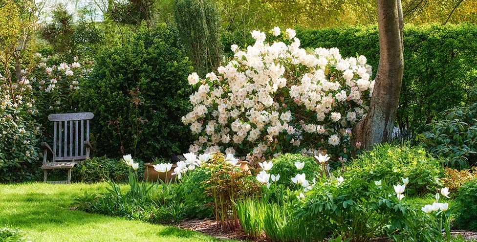 Felicity's Flowers And Landcape Design, Greenville SC