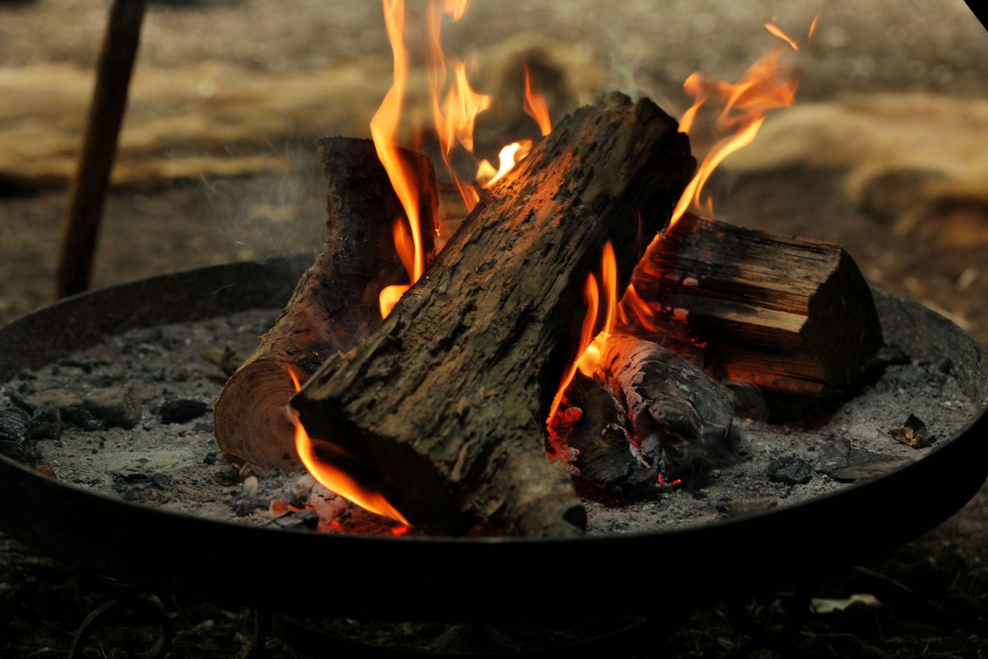 Bergsma Bushcraft & Coaching