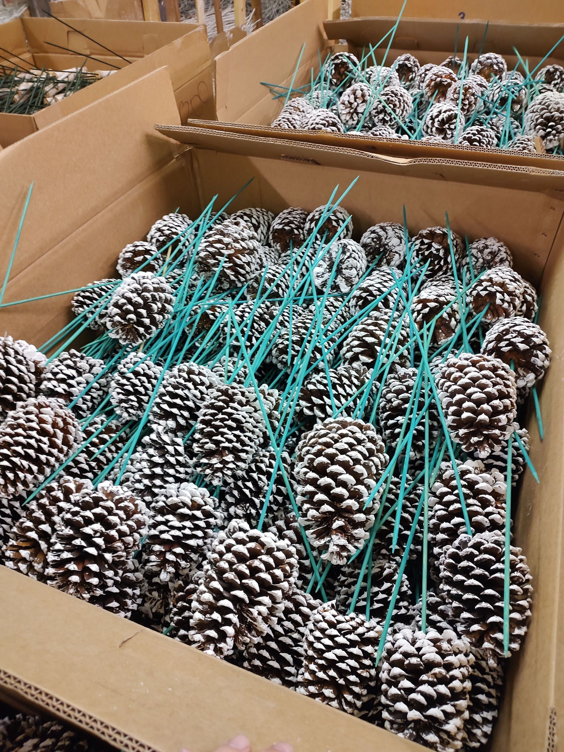 Forest Creations Inc.