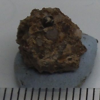 www.fossiliferous.co.uk