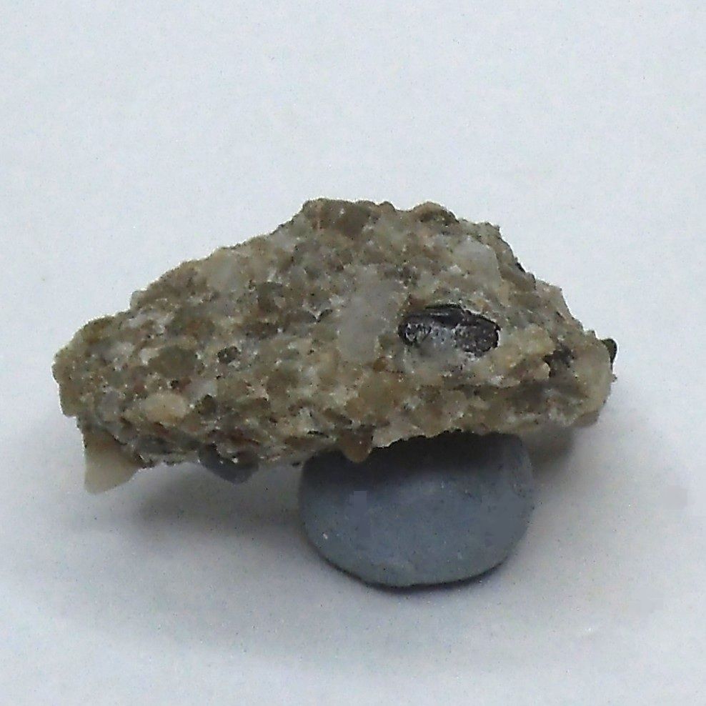 www.fossiliferous.co.uk