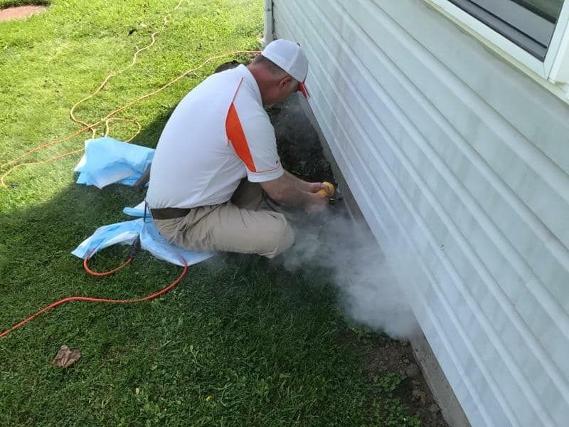 Bug Boys Pest Control, LLC. | Pest Control in Northern VA, Eastern WV ...