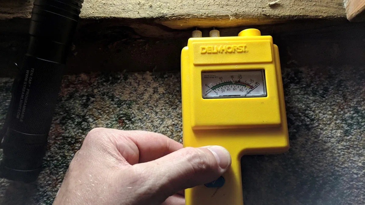 What Is Chronic Inflammatory Response Syndrome, and How Does Mold ...