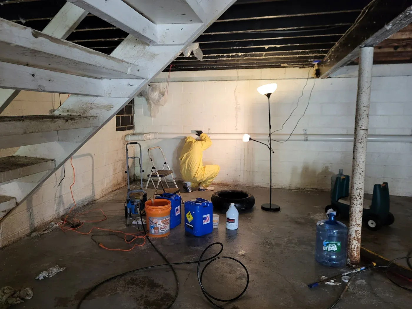 Basements and Summers in Roxbury, NJ: The Perfect Mold Breeding Ground