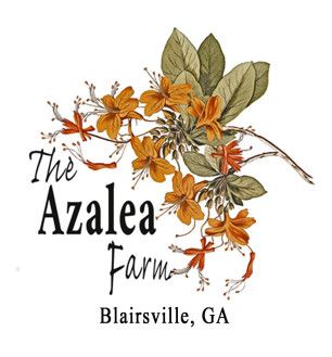 Top of Georgia Plein Air | Fine Art Festivals