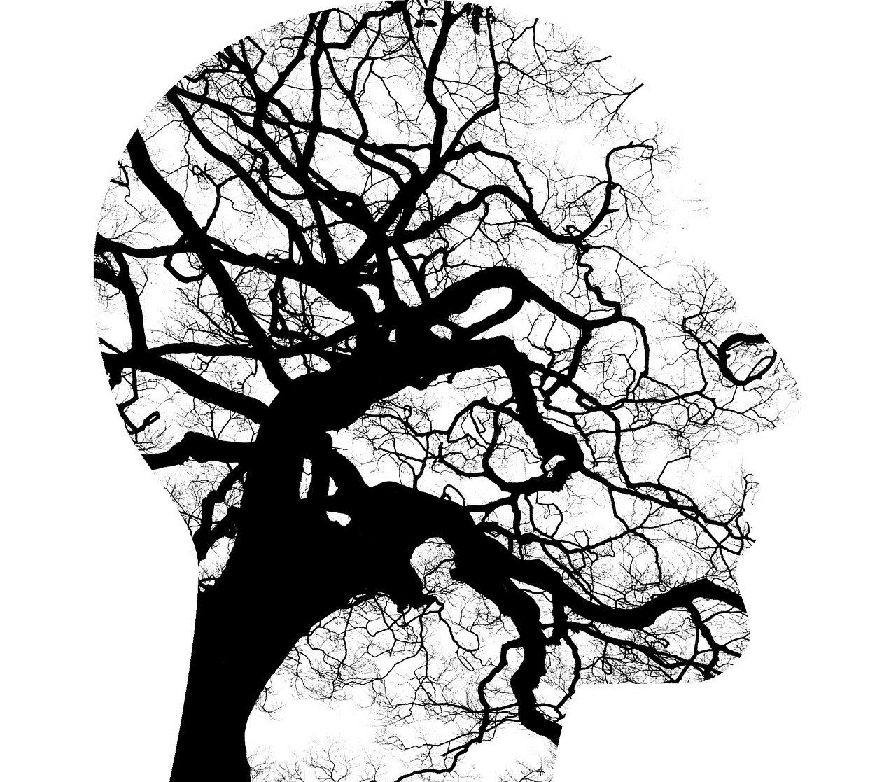 CPCAB Level 2 to Level 4 Counselling Qualifications