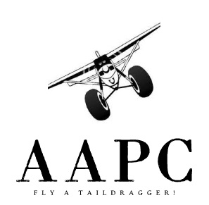 The Aerial Firefighting Mentor