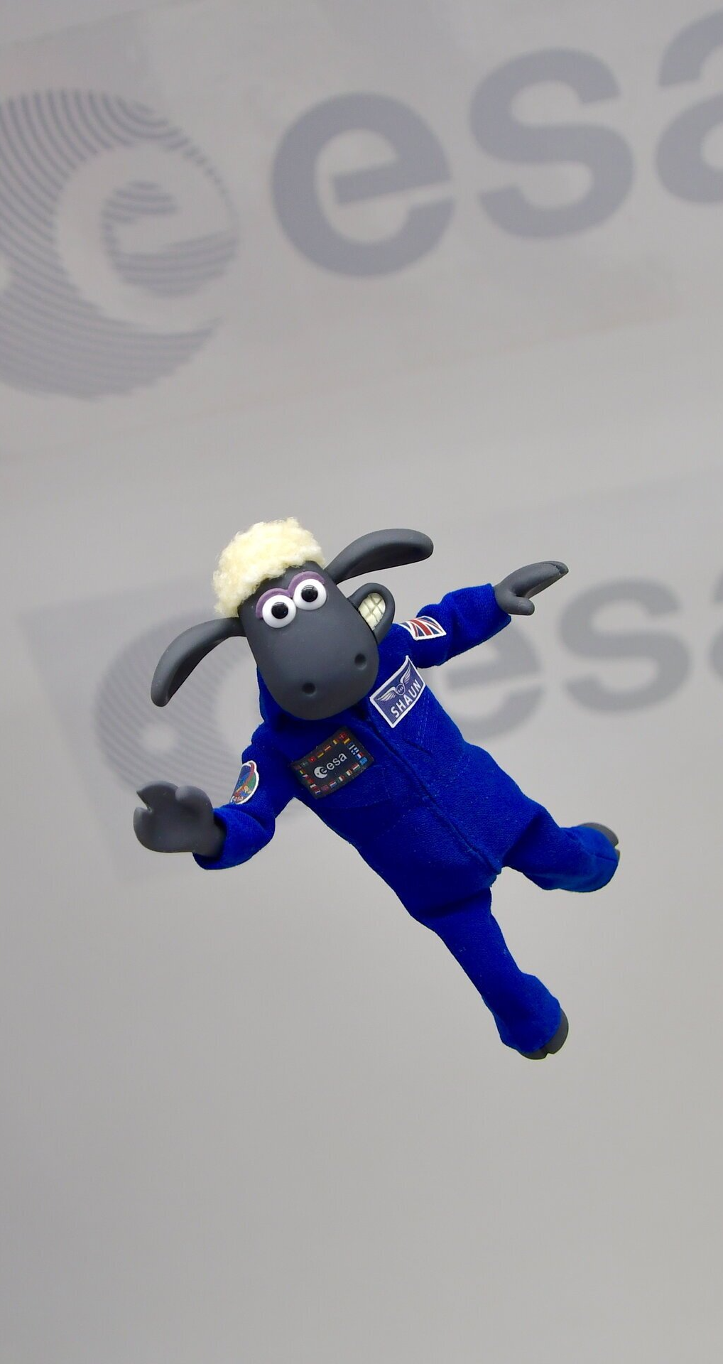 Fåret Shaun Land i Skånes Djurpark - träffa Shaun, Timmy Lamm & Bitzer