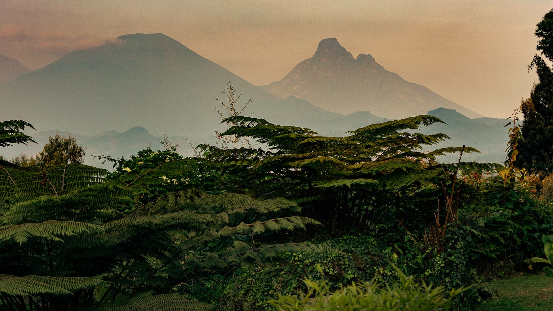 Speke Uganda Holidays | Discover Rwanda