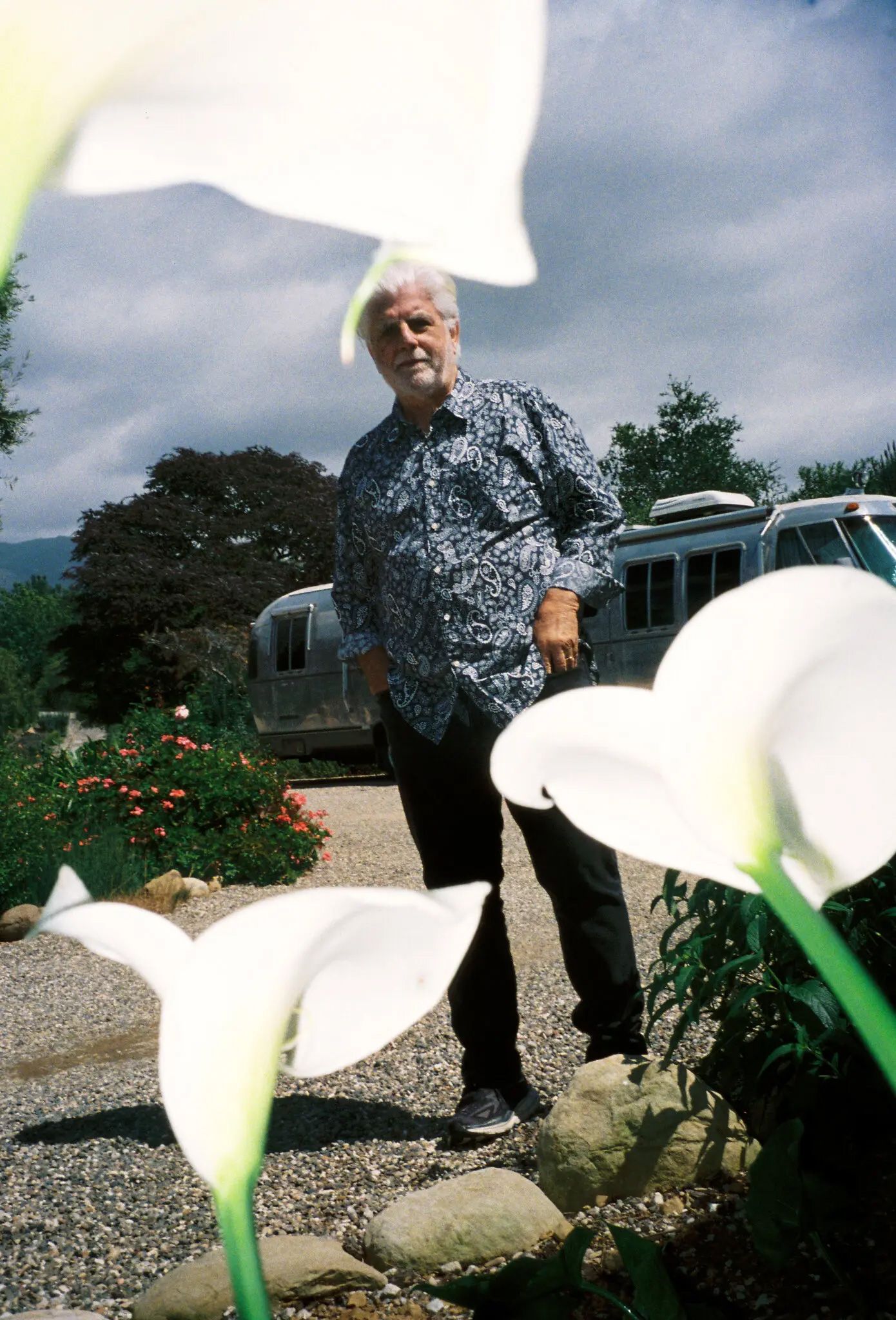 He Sang ‘What a Fool Believes.’ But Michael McDonald Is in on the Joke.