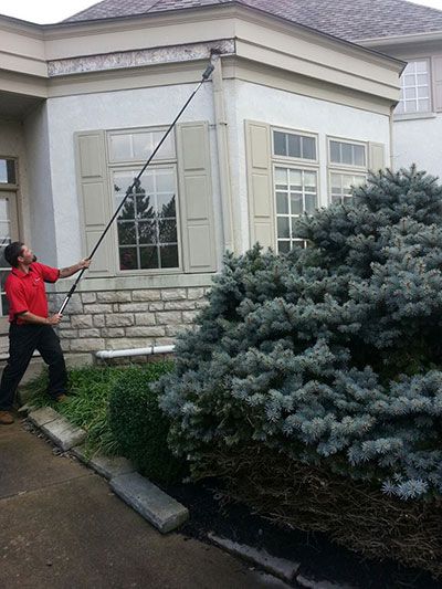 Pest Control Programs Columbus, Ohio