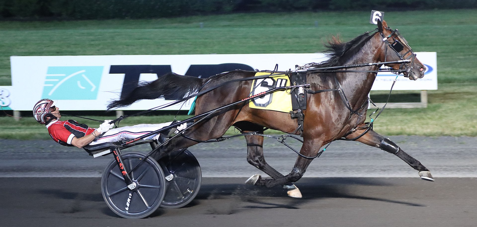 Retirement Ceremonies for Atlanta and Bulldog Hanover at the ...