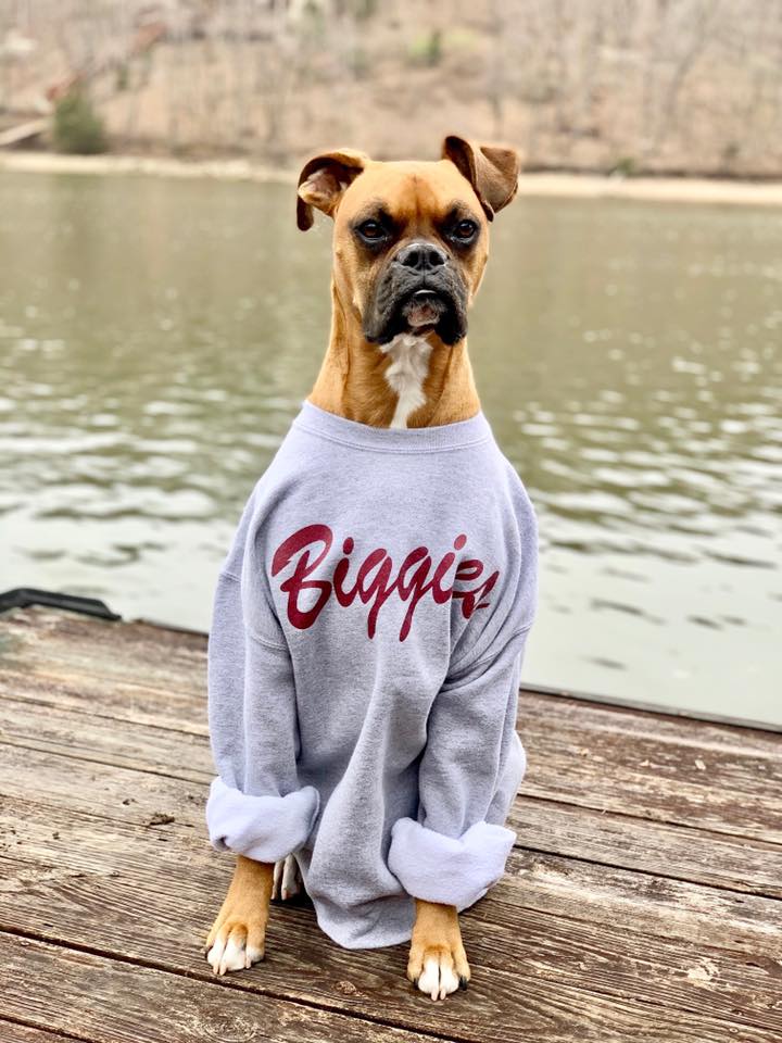 Biggie's | Restaurant & Bar | St. Louis, MO