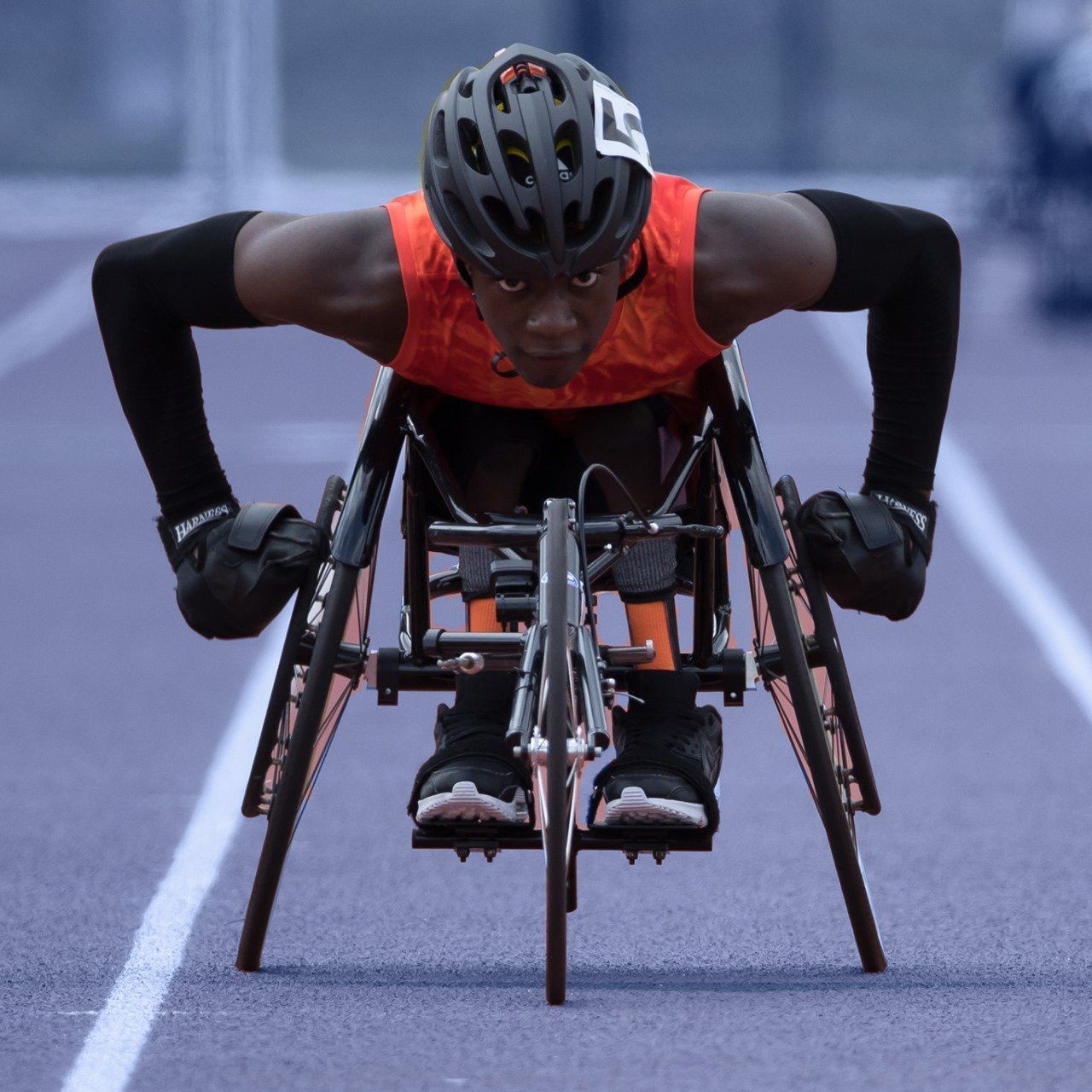 Summer Sports | Bay State Games