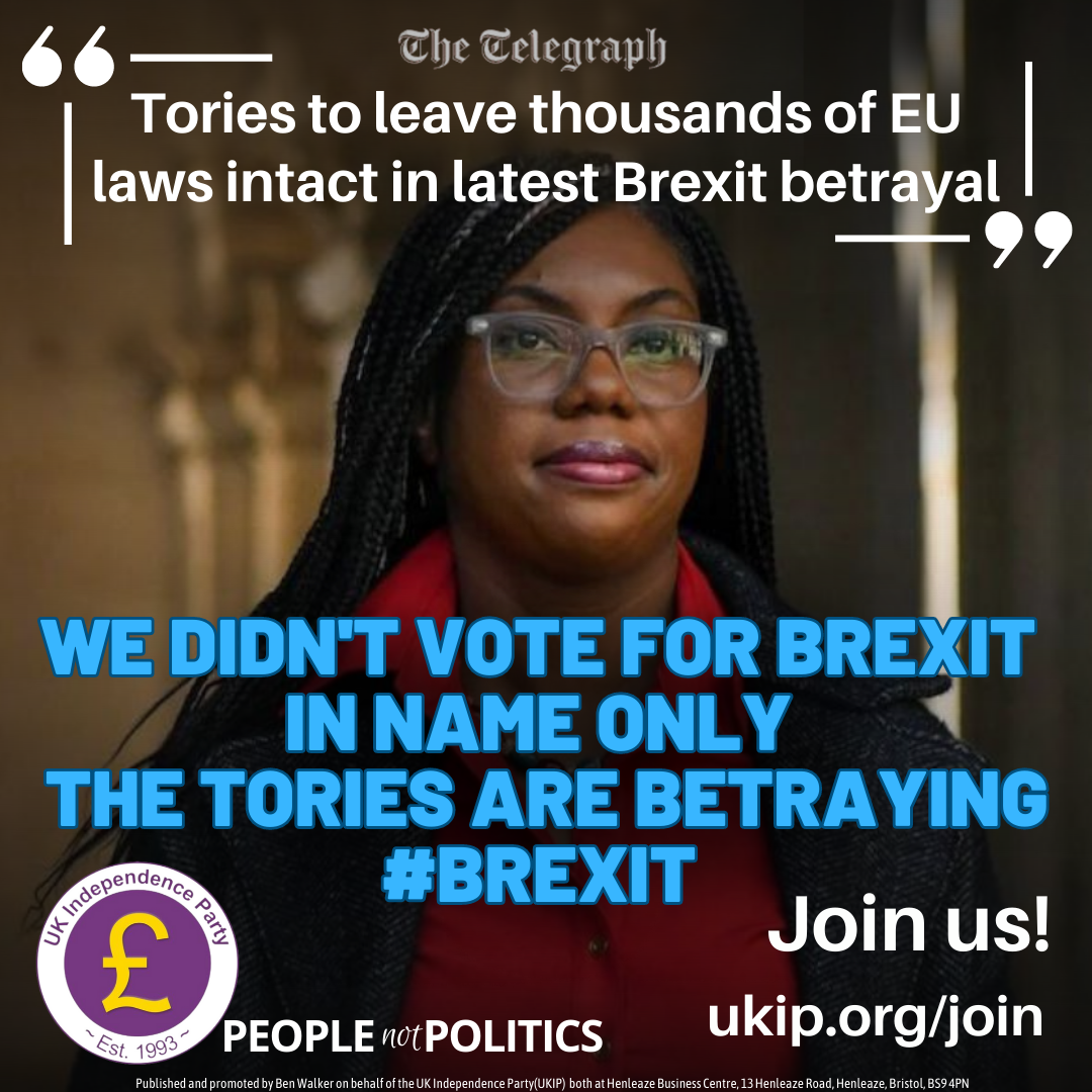 UKIP Members | Downloadable Posters