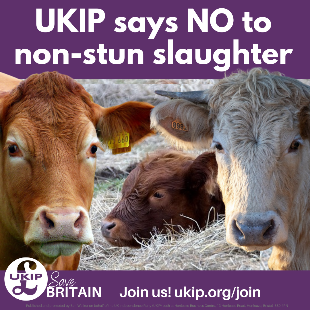 UKIP Members | Downloadable Posters