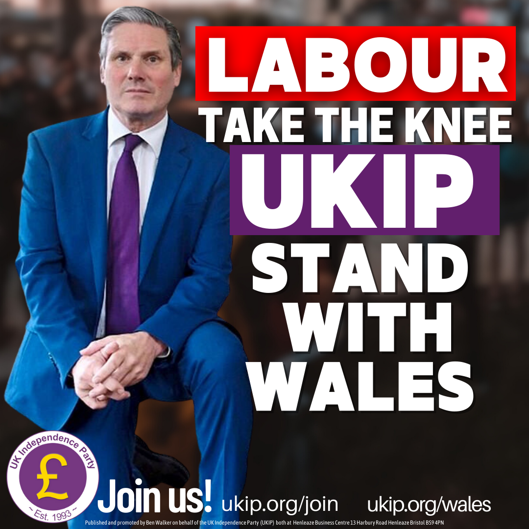 UKIP Members | Downloadable Posters