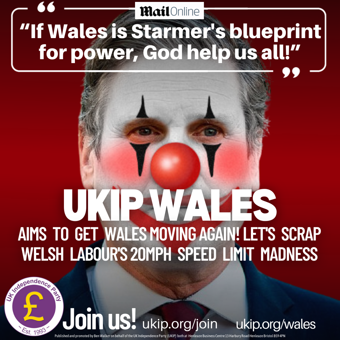 UKIP Members | Downloadable Posters