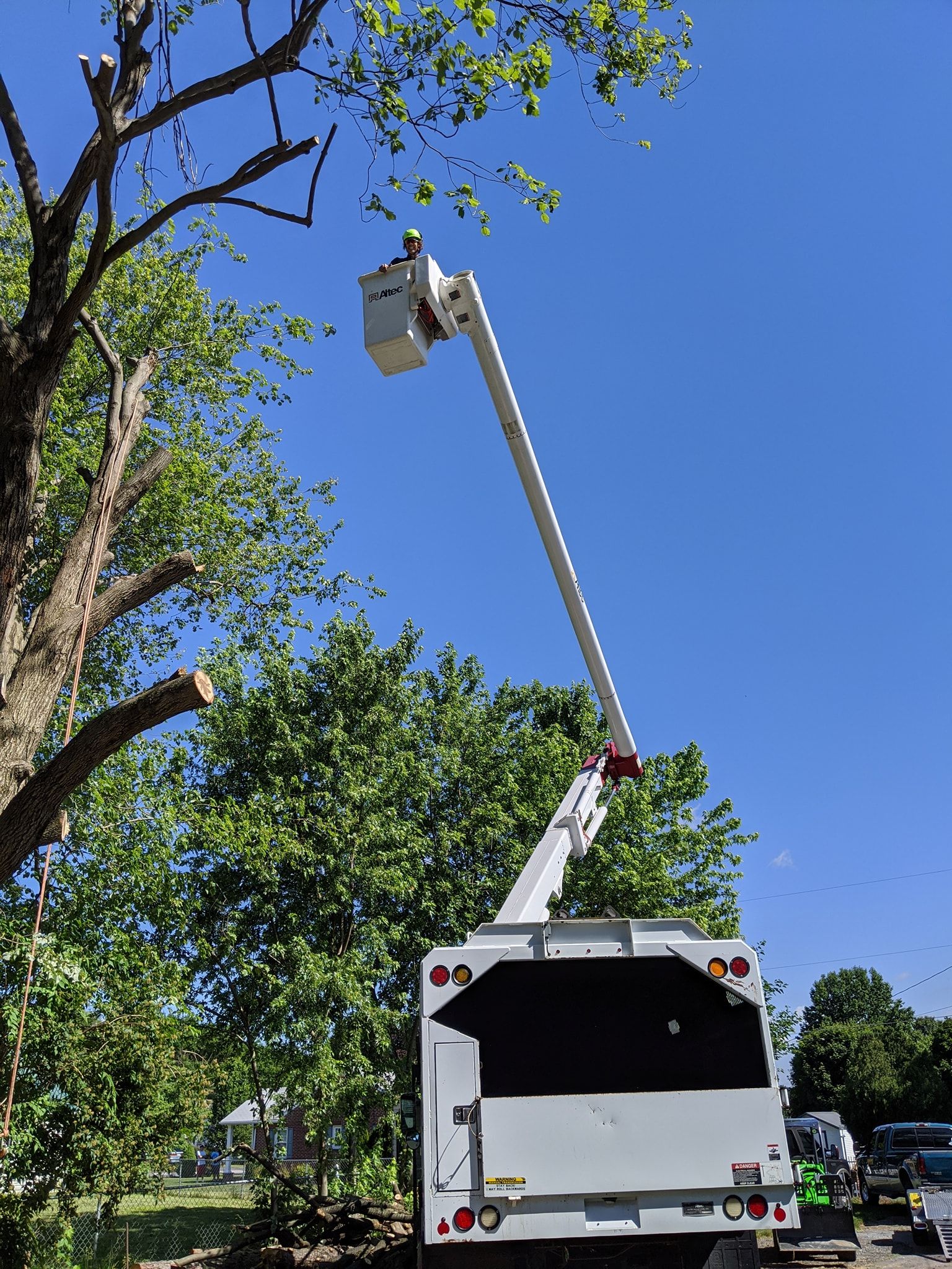 Gallery | Joplin, MO | Terry's Tree Service
