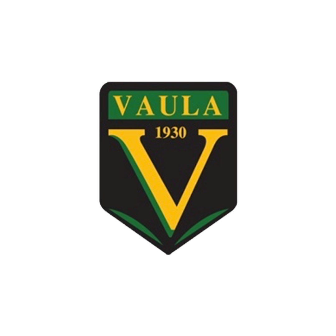 Vaula Billiard Gloves