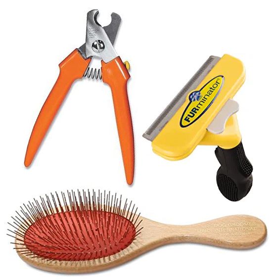 Dog Mom's - New Puppy Checklist!