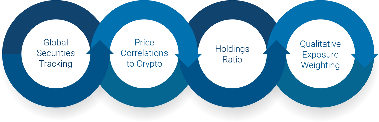 Crypto Exposure Data