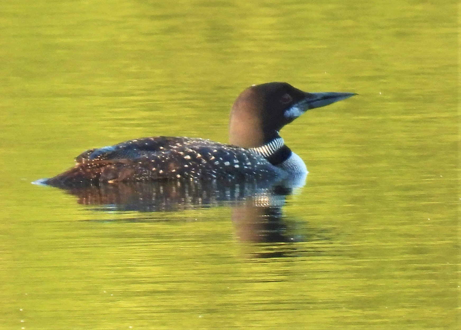 Hill Township Hall | Ogemaw County, MI | (989) 709-0726