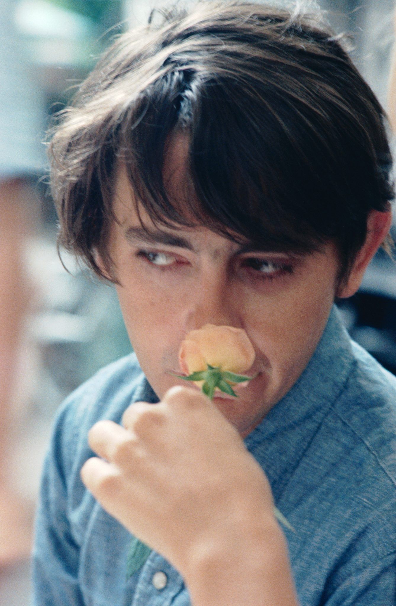 Bob Neuwirth Official Website | PHOTOS