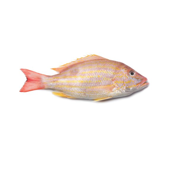 Kasoa Tropical Food Market | Edmonton | African and Caribbean Products