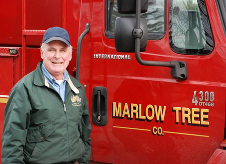 Tree Pruning | Dayton, OH | Marlow Tree Company