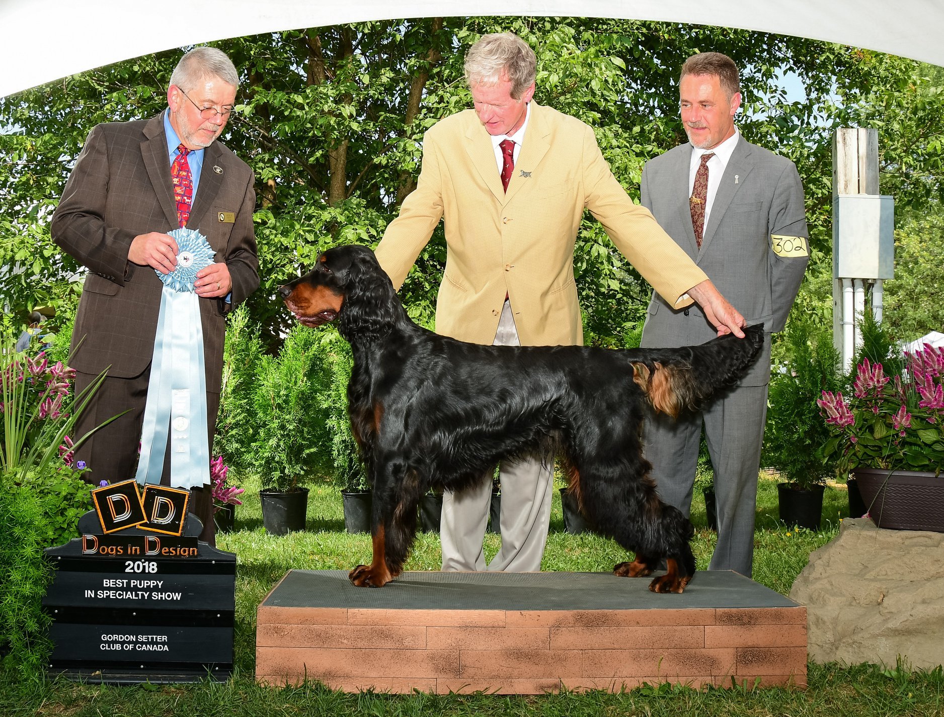 Harbinger Gordon Setters