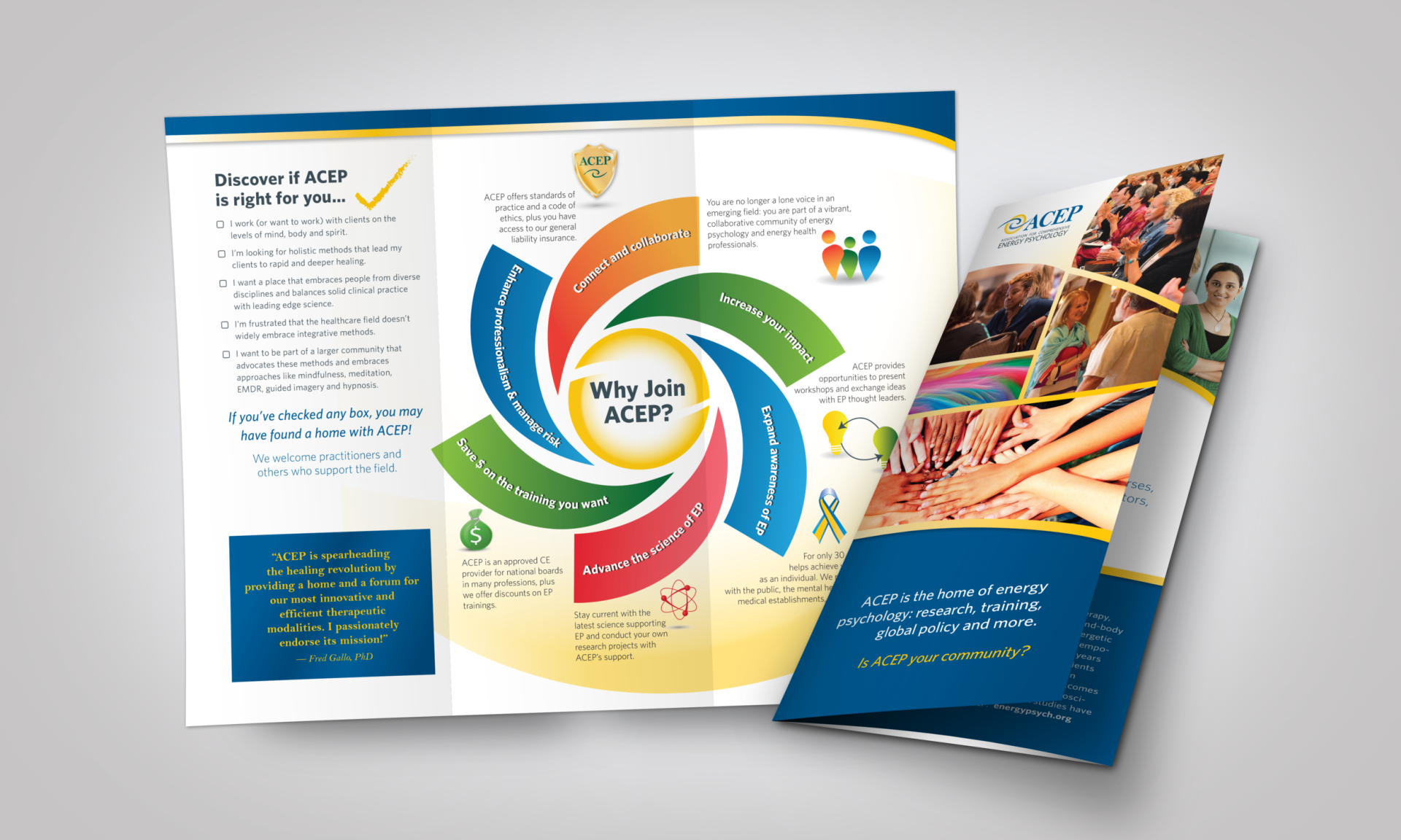 Our Portfolio of Work