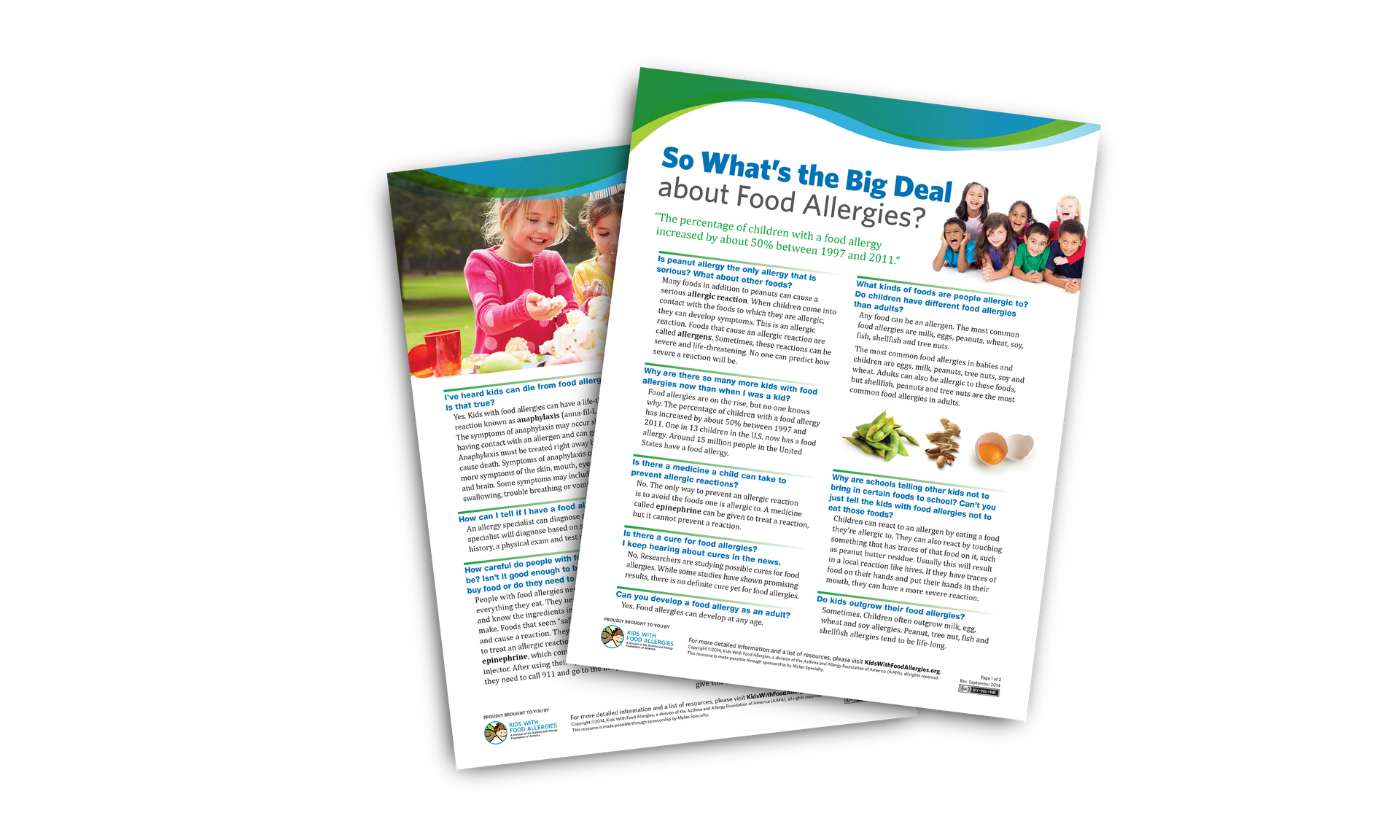 Writing, Design & Marketing Strategy for Laboratory Animal Science ...