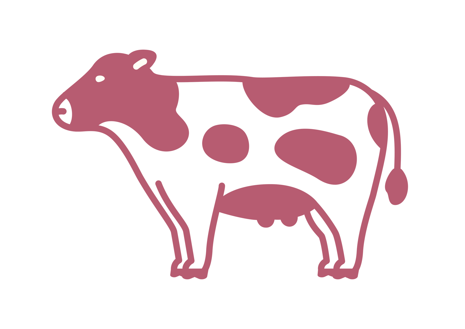 The Devon Ice Cream Co