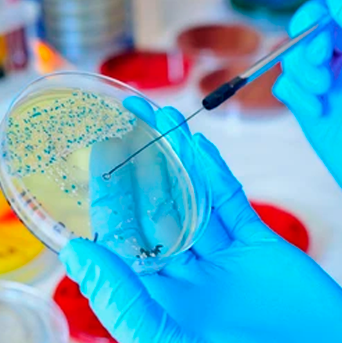 Biogenics Lab Insumos de Laboratorio - Biogenics Lab S.A.C.