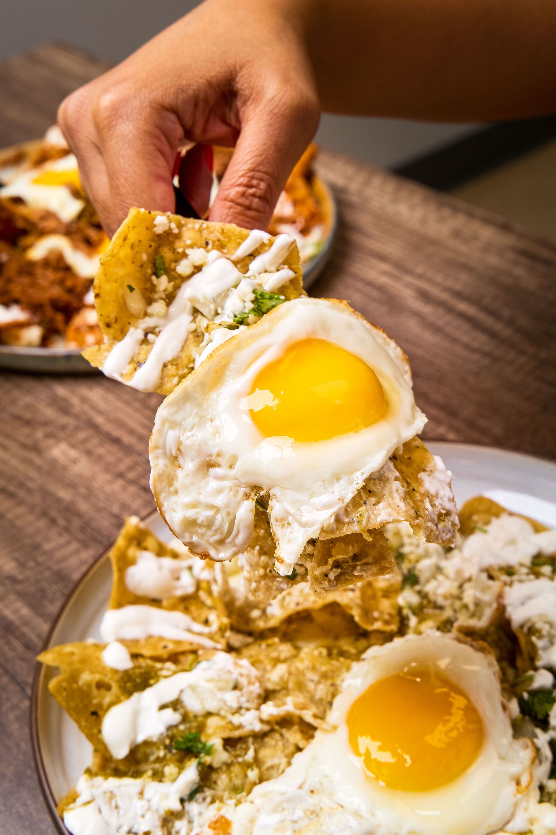 Gallery | Mr. Birria Authentic Mexican Food & Birria San Diego