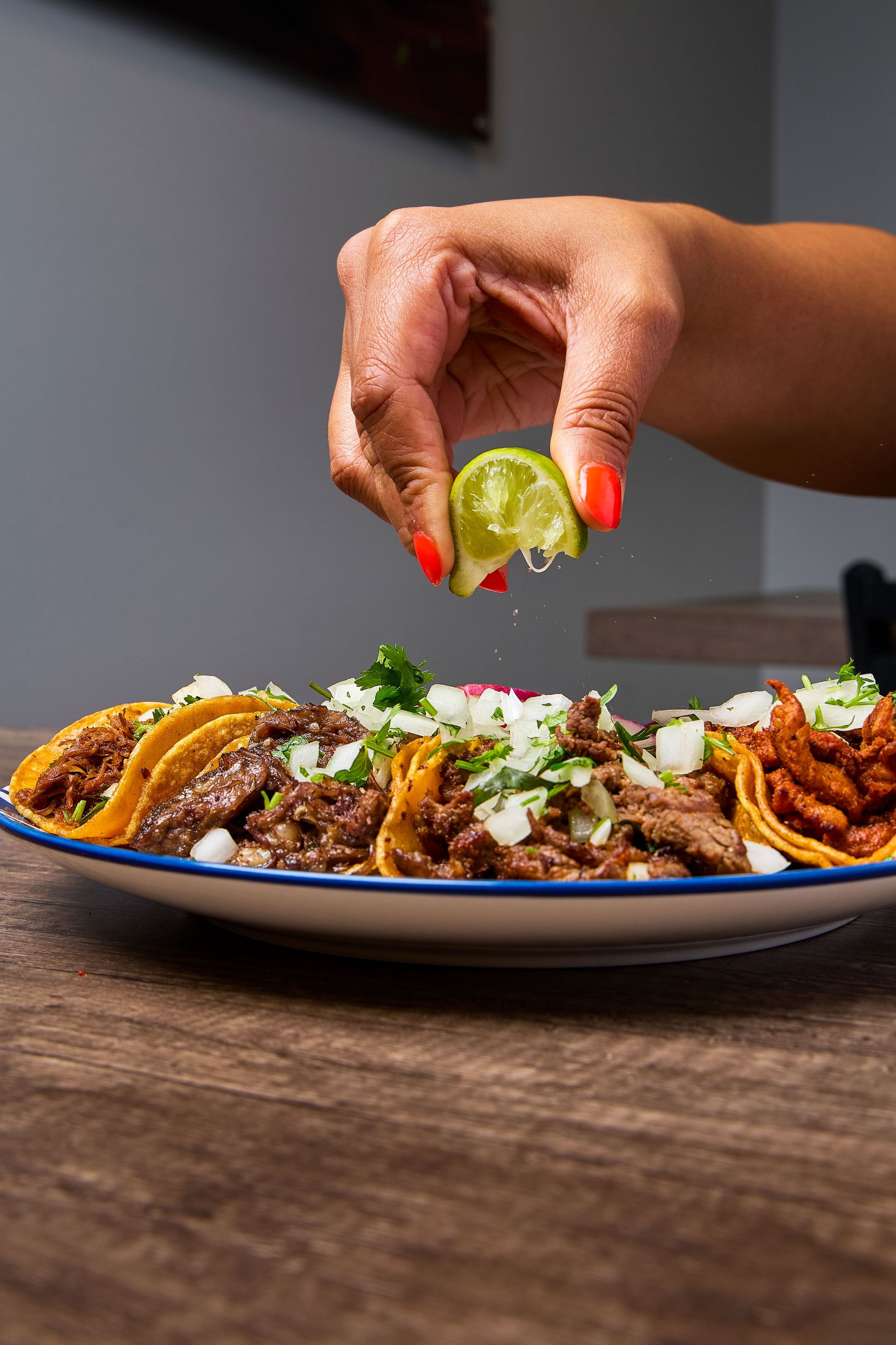 Gallery | Mr. Birria Authentic Mexican Food & Birria San Diego